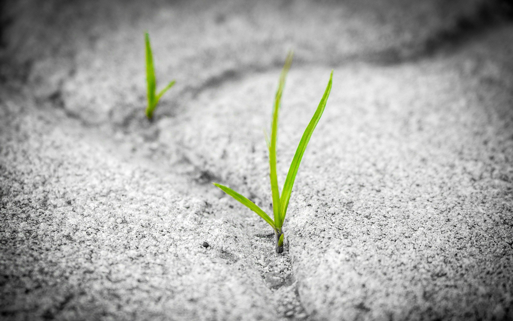 30-Day Matcha Challenge: Tactics for Each Week