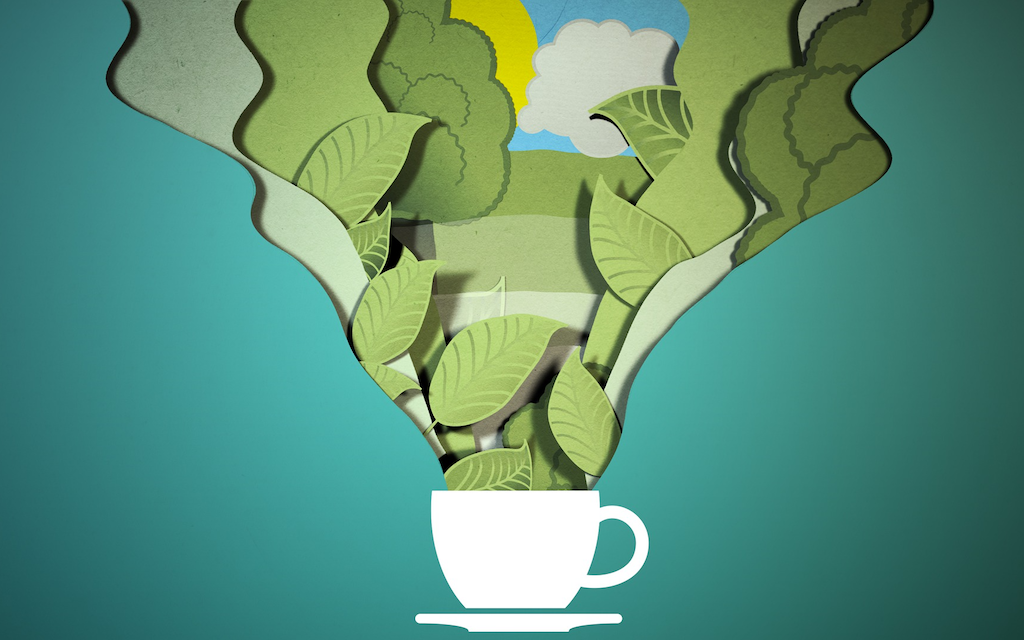 Matcha Catechins, What's EGCG? GreenTea EGCG Benefits, EGCG Supplement