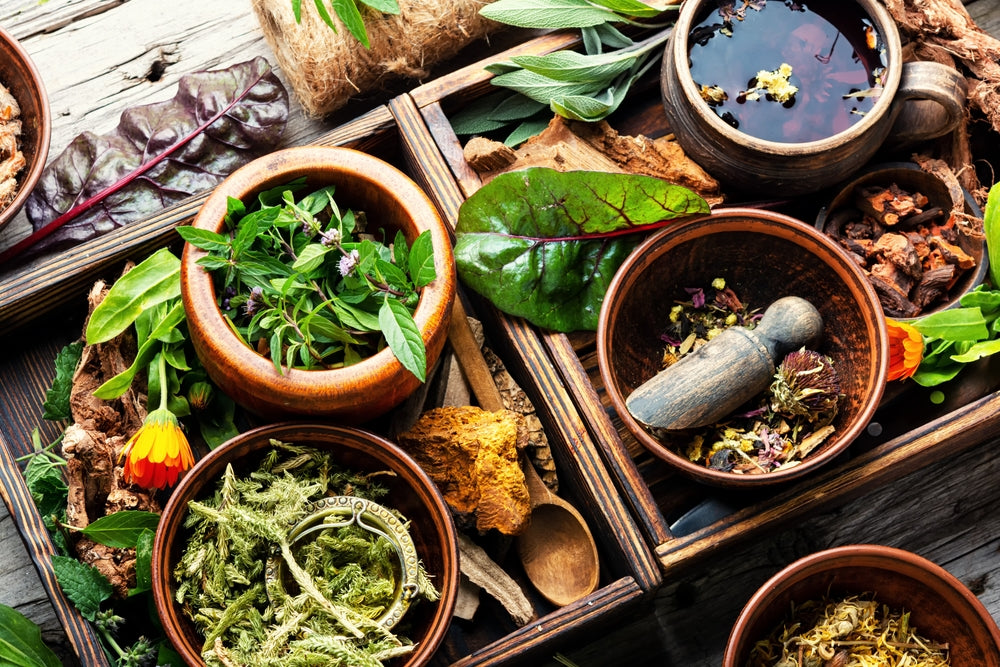 The Beneficial Plant Research Association: Why It Matters
